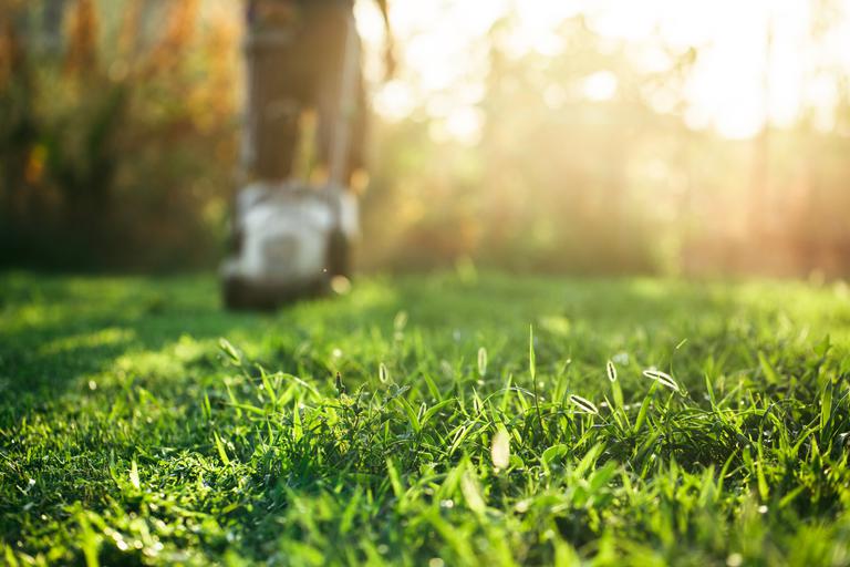 Monthly Maintenance Reminder: Outdoor Maintenance Checklist
