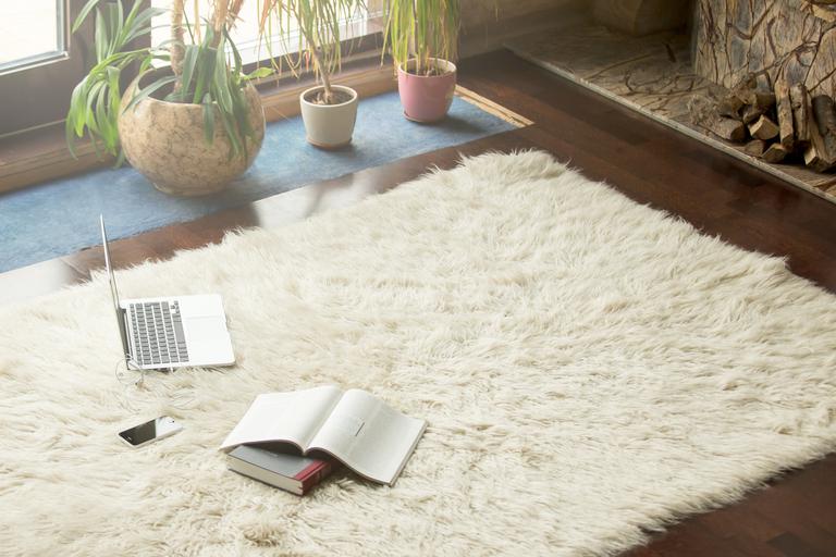 Everything You Need To Know About Choosing The Best Carpet For Your Home