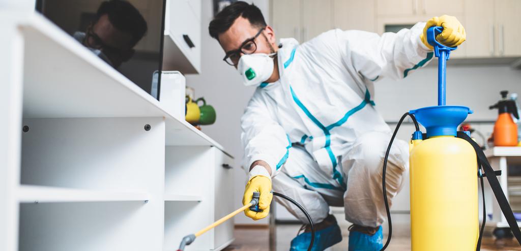 What Is A Pest Control Technician And When You Might Need One