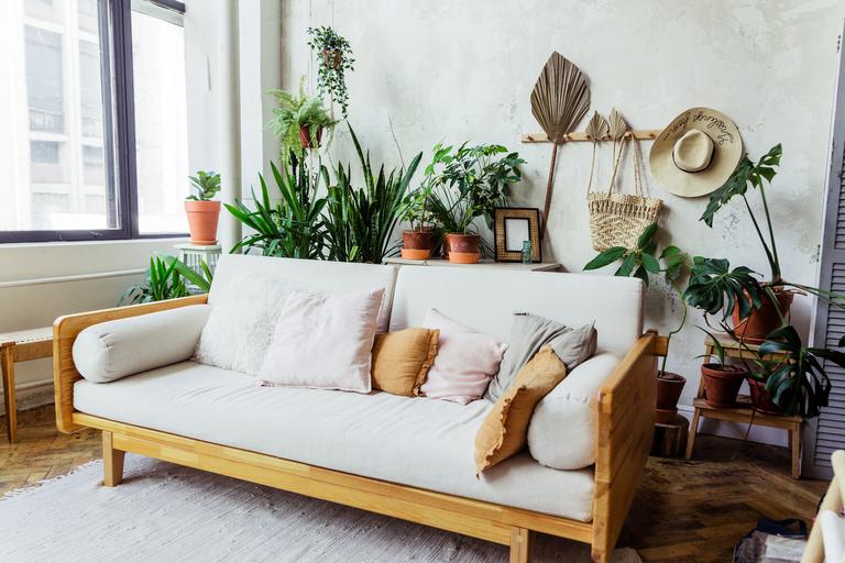 The Pillars Of Biophilia And How You Can Incorporate Them Into Your Home