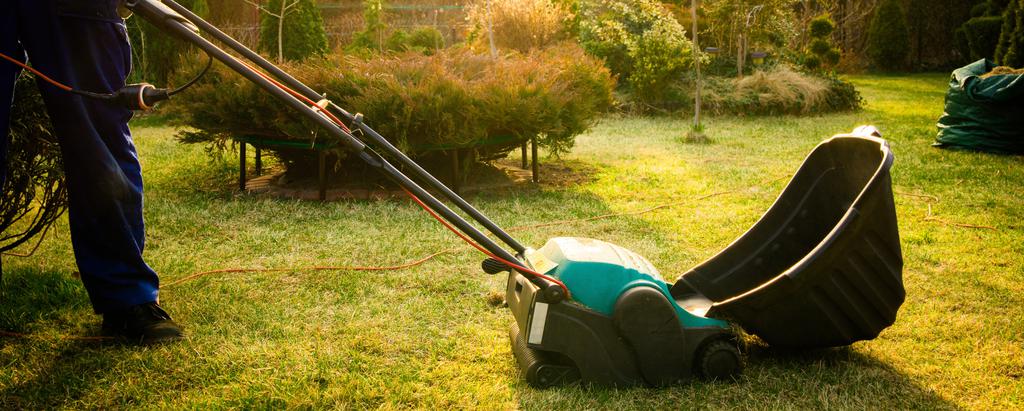 The Top Benefits Of Dethatching Your Lawn
