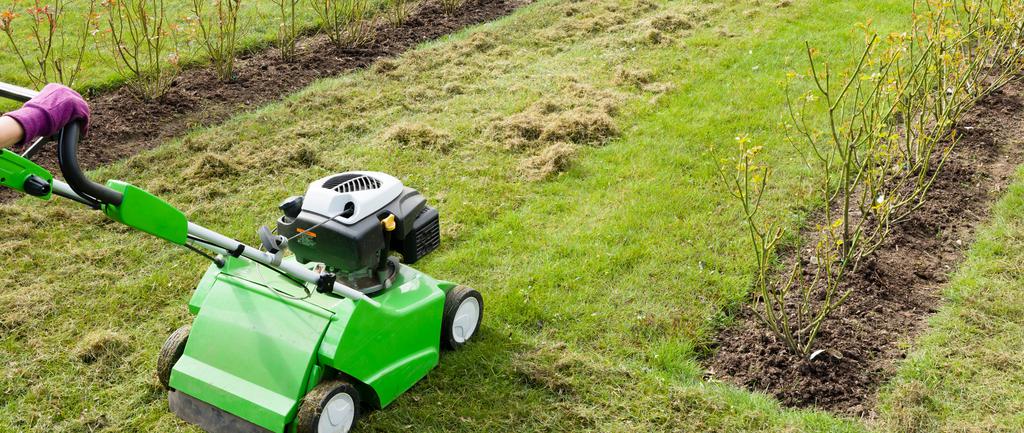 The Surprises You Might Encounter When Dethatching Your Lawn