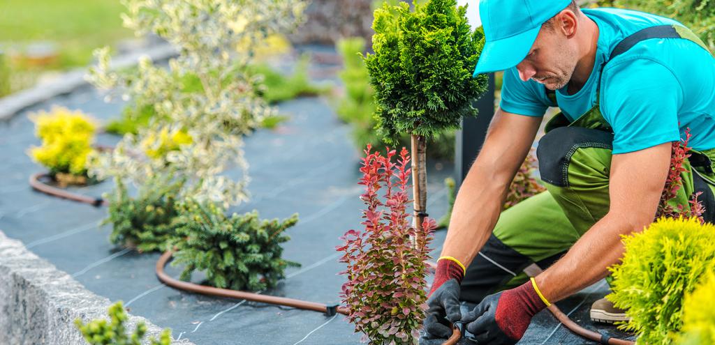 The Top Surprises You'll Encounter When Installing New Irrigation