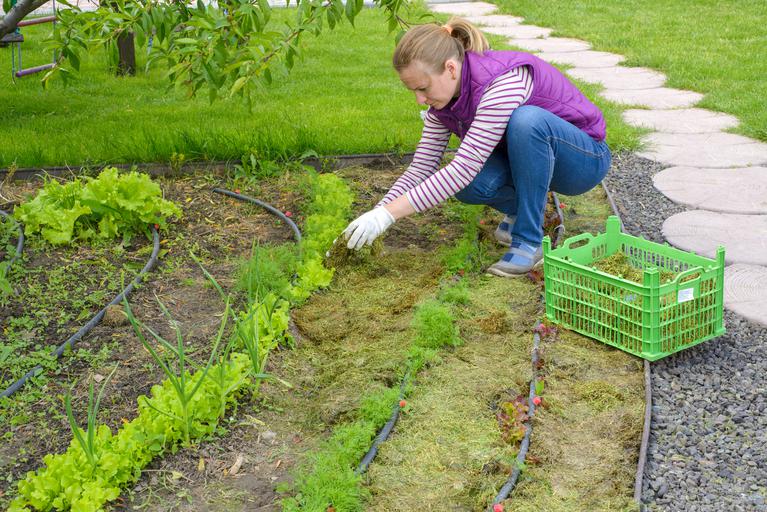 The Top Considerations When Planning Your Landscaping Project