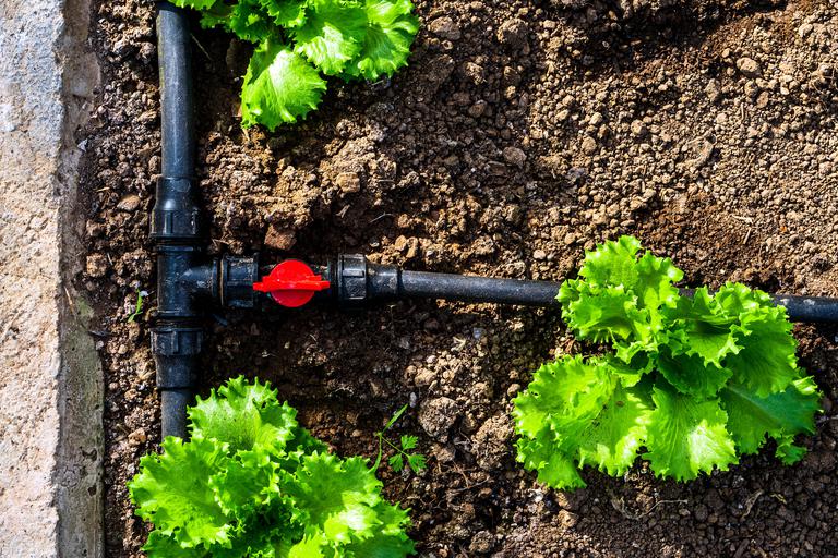 Irrigation Installation: Top 3 Considerations For Homeowners