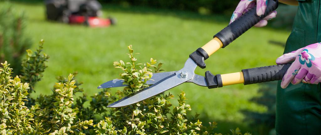 The Top Benefits Of Hiring A Yard Maintenance Company