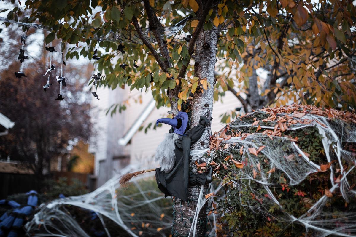 Haunted House Ideas That Ll Bring All The Spooks And Scares haunted-house-ideas-that-ll-bring-all-the-spooks-and-scares
